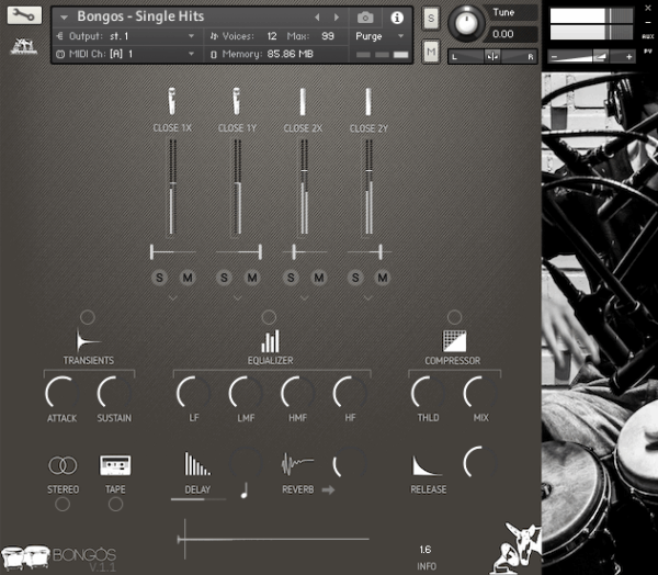 Bongôs – Muletone Audio